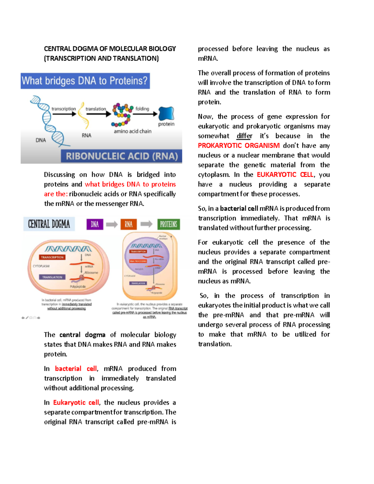 Central Dogma OF Molecular Biology - CENTRAL DOGMA OF MOLECULAR BIOLOGY ...