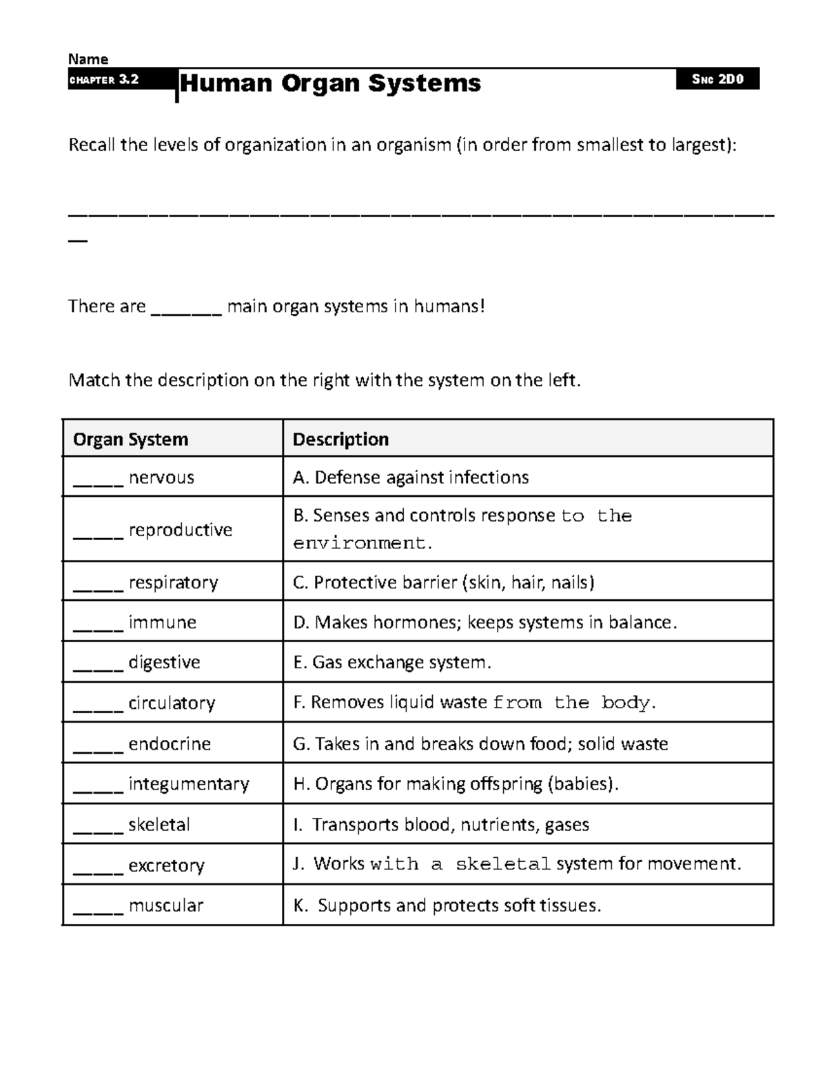 SNC 2D - Chapter 3: Overview of Human Organ Systems - Studocu