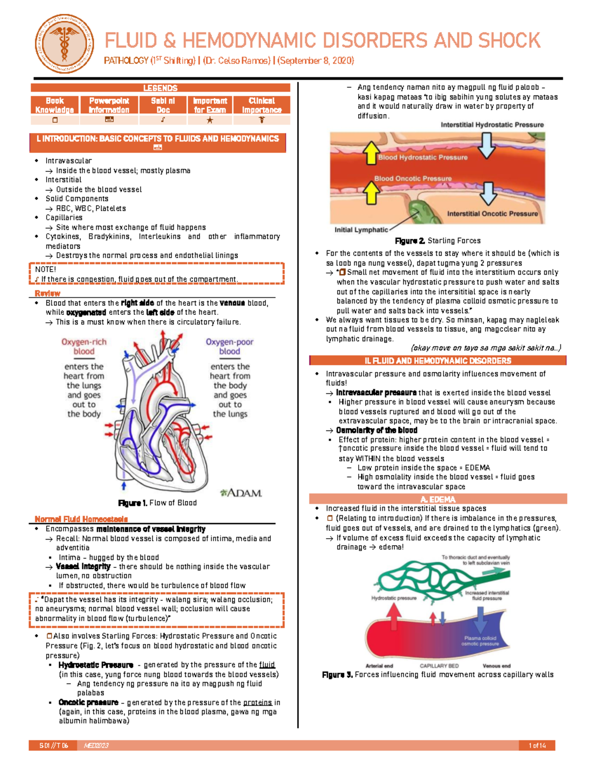 Fluid Hemodynamic Disorders & Shock: MED2023 Overview Notes - Studocu