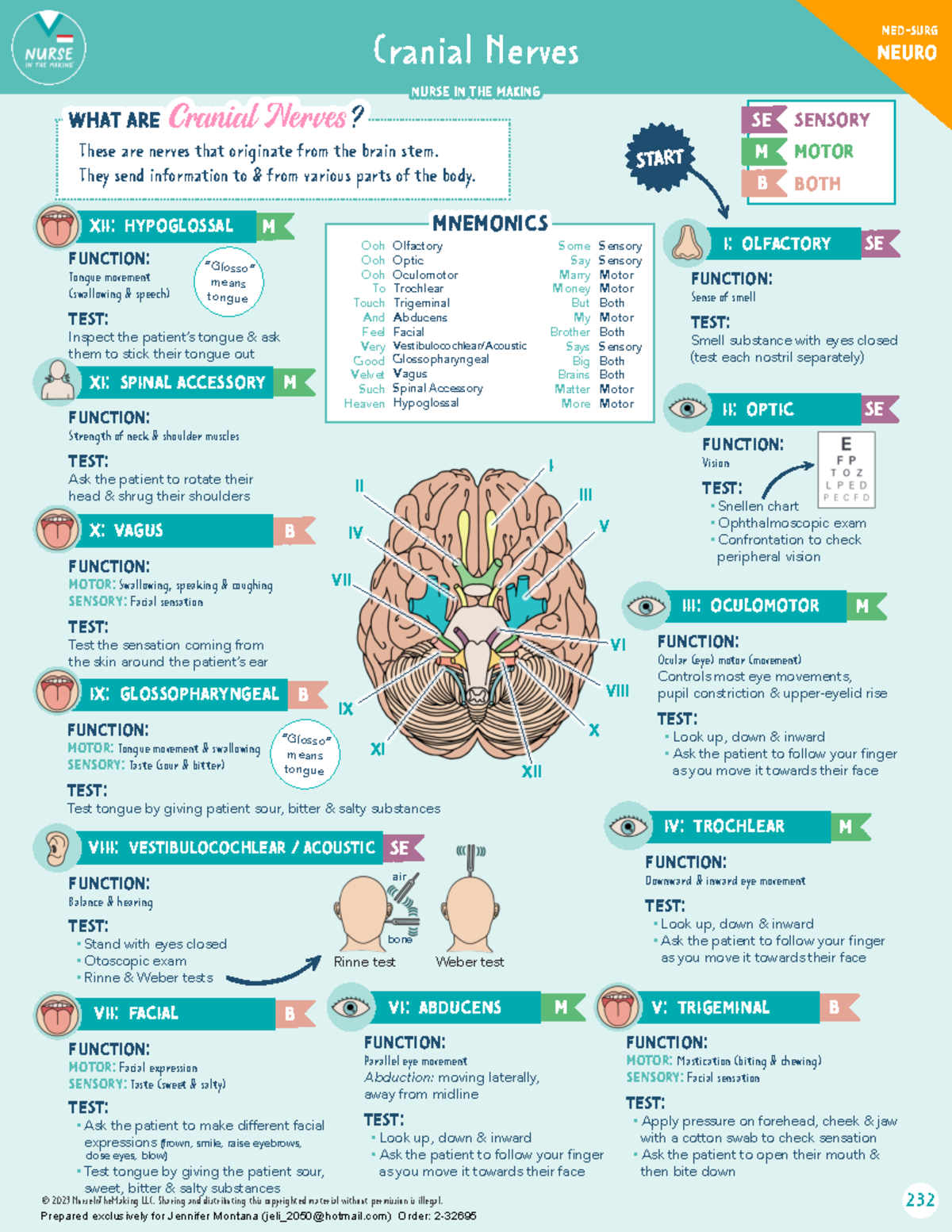 Cranial Nerves Overview: Functions and Tests - Med-Surg 2024 - Studocu