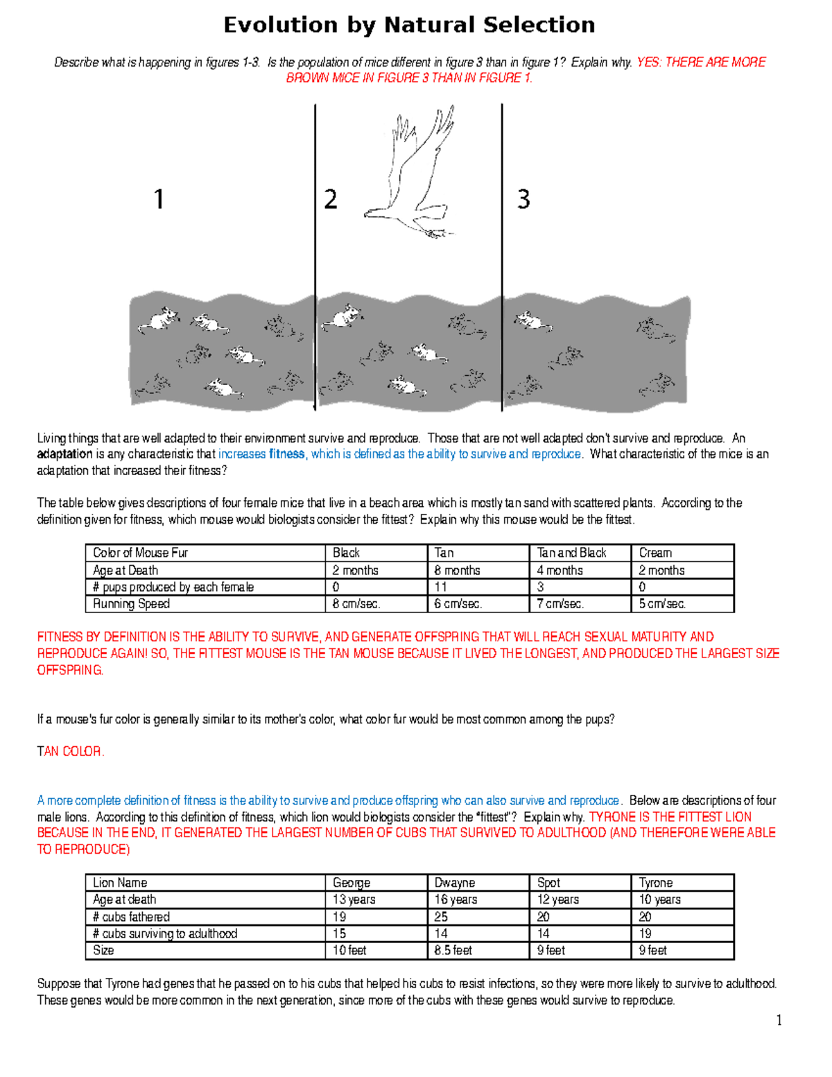 Evolution by Natural Selection Lab Answer KEY (zu3kag) - Studocu