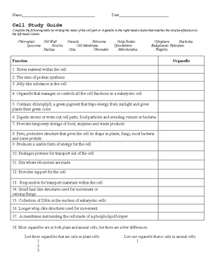 What to Know Cat Cardiovascular Dissection Lab BVs-1 - Cat ...