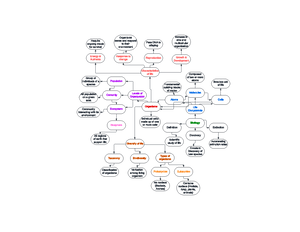 DNA Structure & Function concept map - DNA Structure & Function Hero Dog's Golden Clones History ...