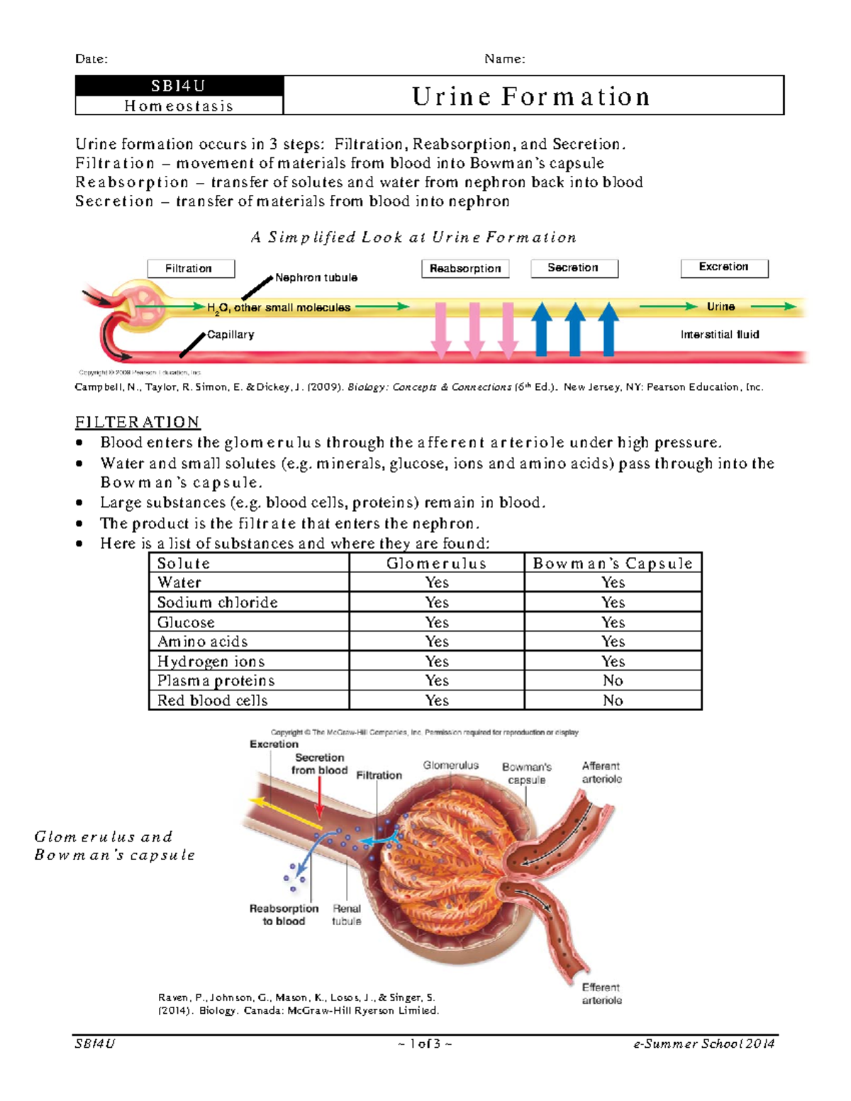 Urinary System Summary Notes - Date: Name: SBI4U ~ 1 of 3 ~ e-Summer ...