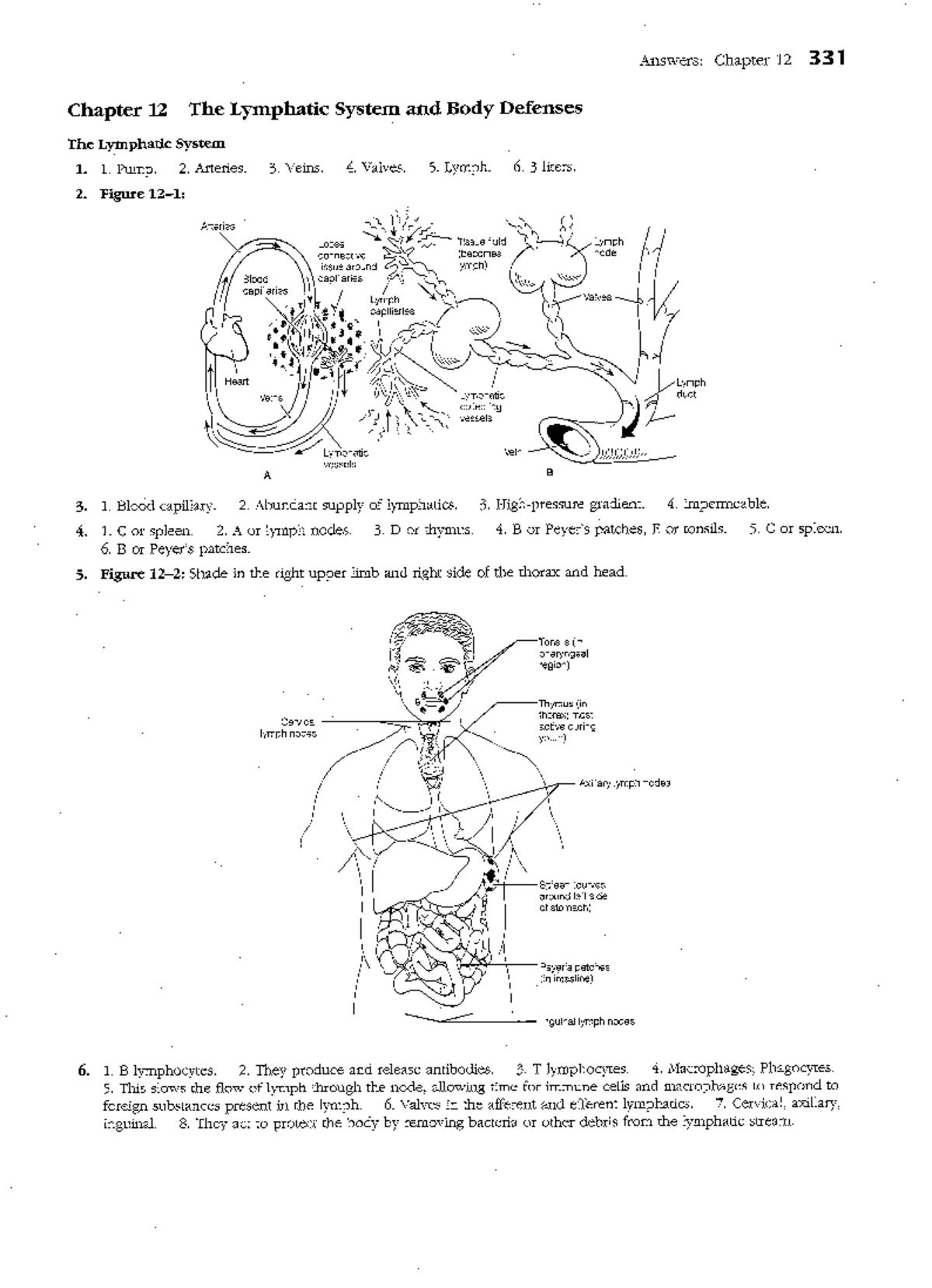 Ch12 Lymphatic System Study Guide & Answers - Studocu