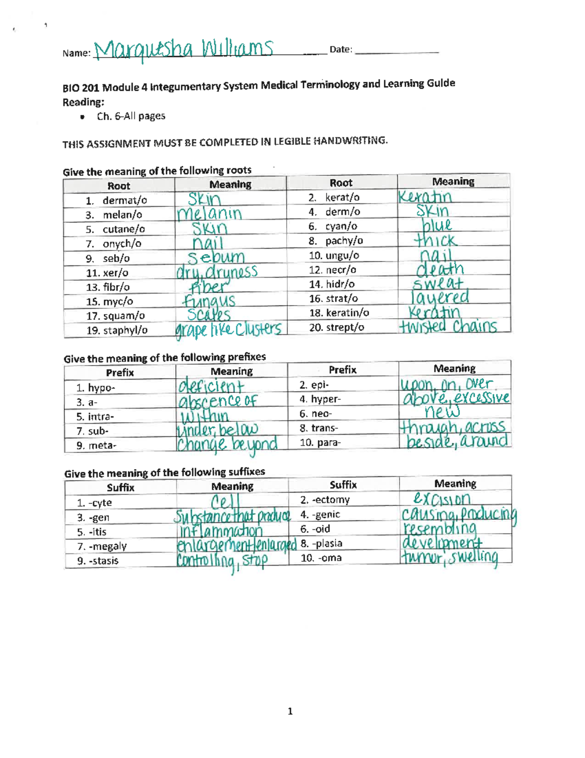BIO 201 Module 4 Integumentary System Medical Terminology Guide - Studocu