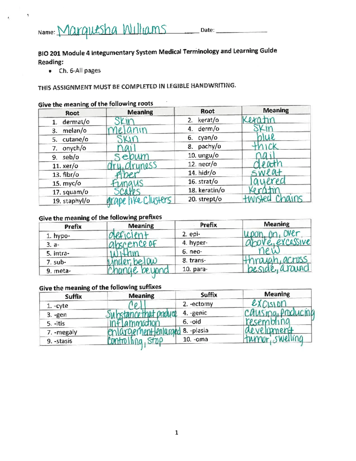 BIO 201 Module 4 Integumentary System Med Term Worksheet (15pts) - Studocu