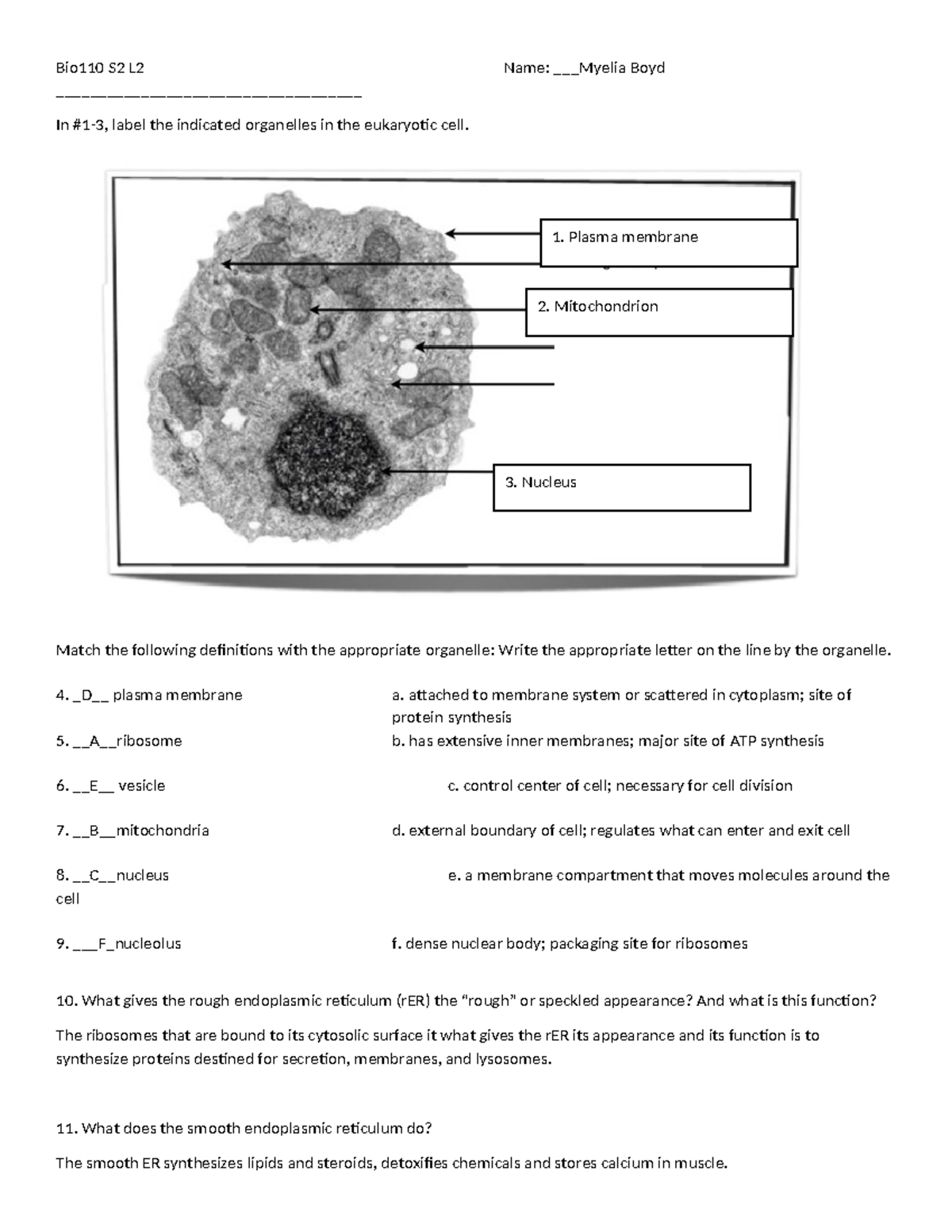 Bio110 S2 Lecture Notes: Eukaryotic vs Prokaryotic Cell Structures ...