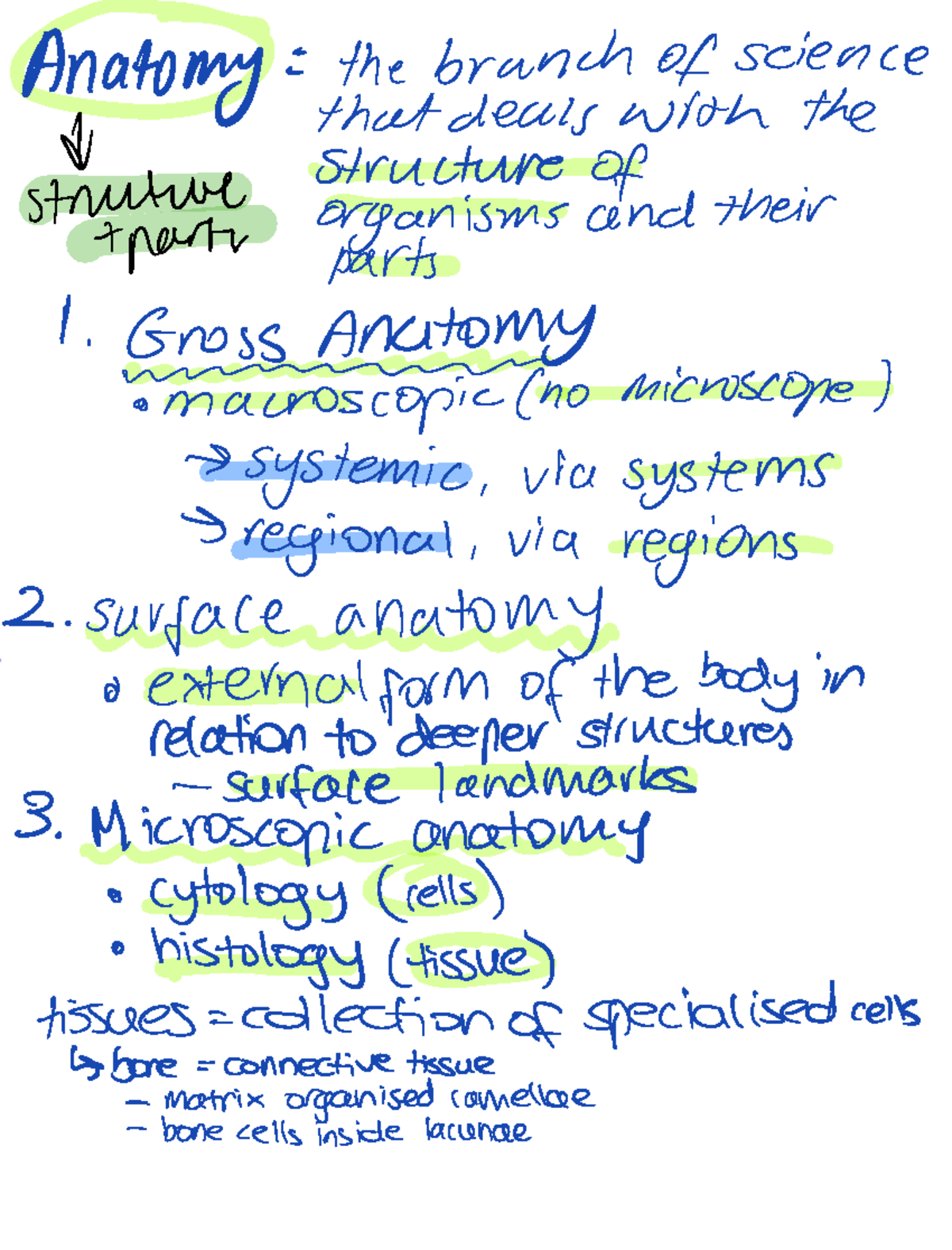 Anatomy 101: Overview of Gross and Microscopic Anatomy Notes - Studocu