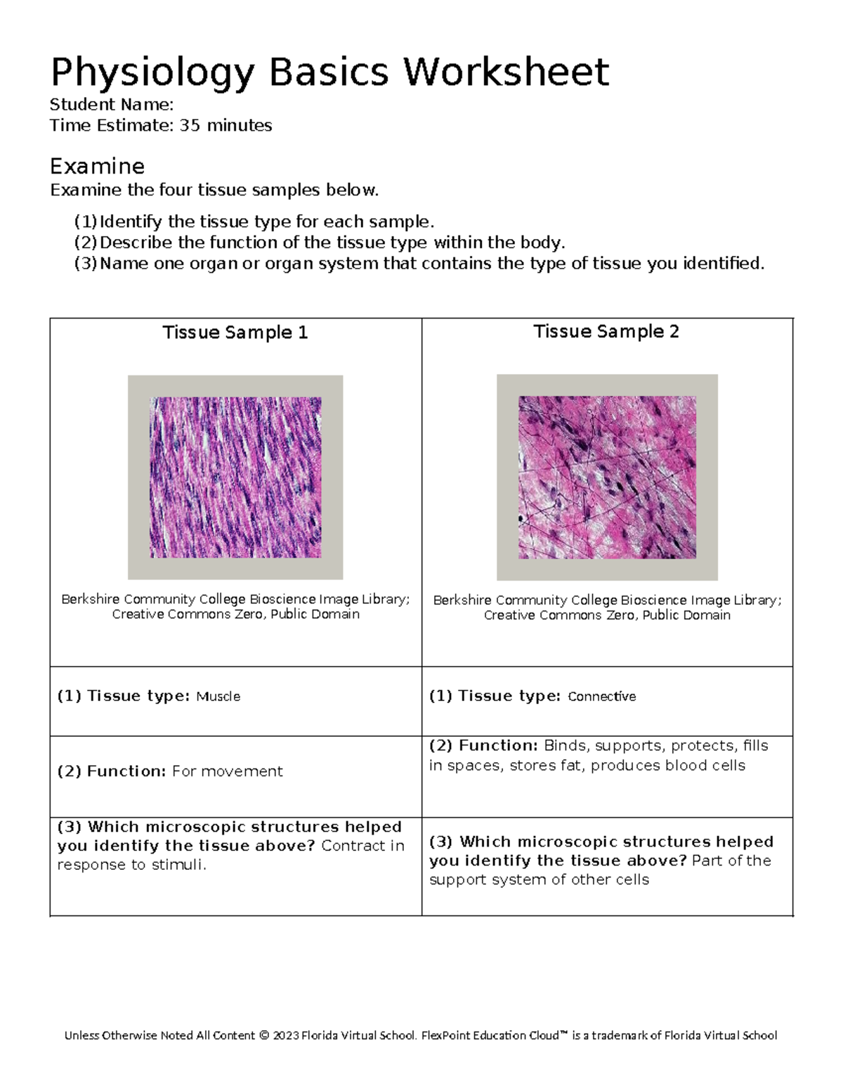 BSC 101 Physiology Basics Worksheet and Tissue Identification Guide ...