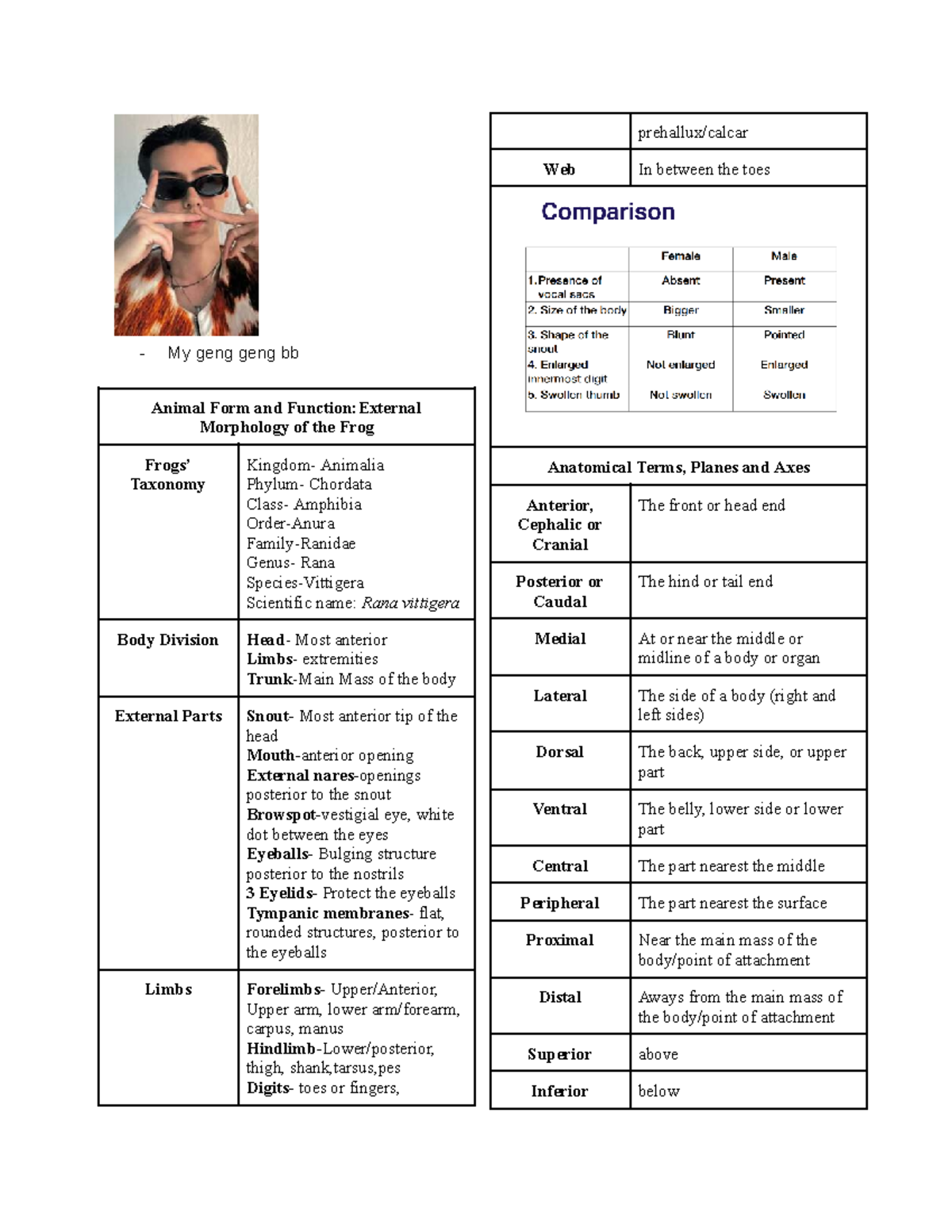 GEN ZOO LEC - External Morphology and Function of Frogs - Studocu