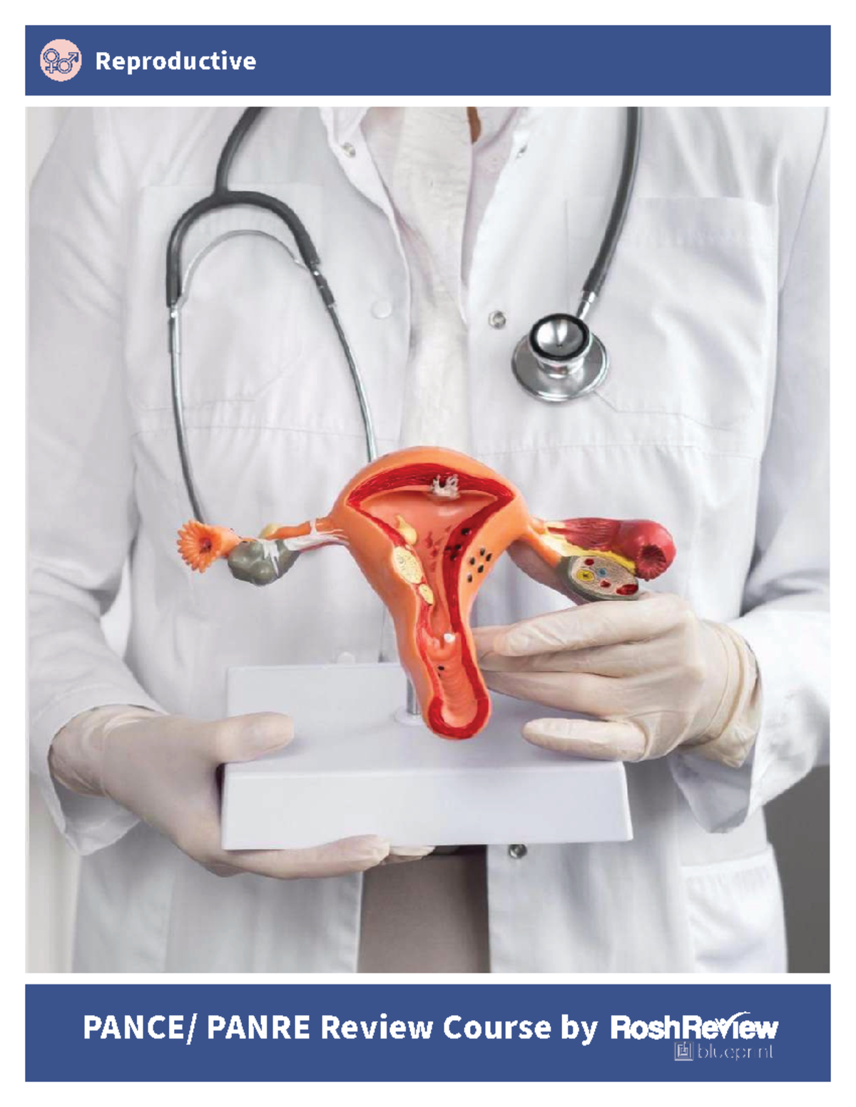 Reproductive PANRE Review Course: Uterine & Ovarian Disorders - Studocu