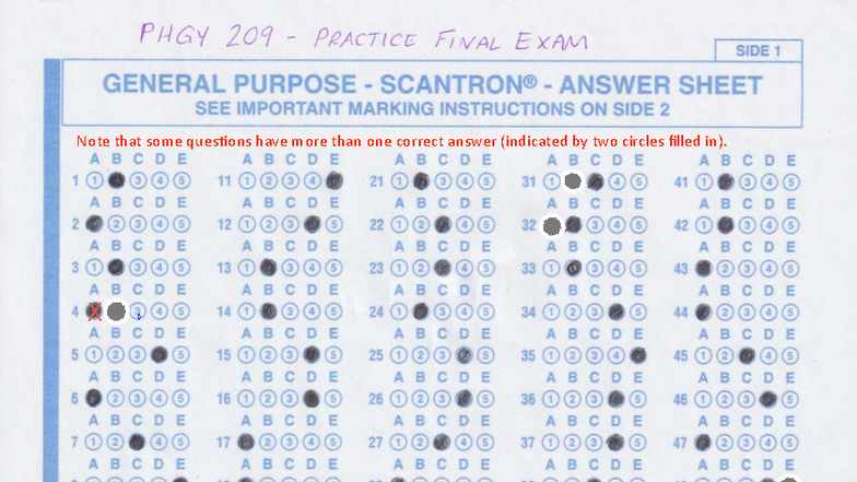 PI 2 0 - Corrected Practice Final Exam Answers (Scantron 2025) - Studocu
