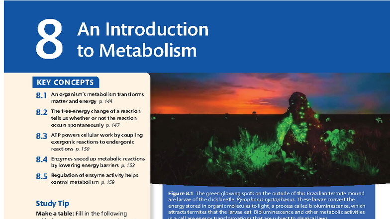 AP Biology 12e Chapter 8: Introduction to Metabolism Concepts and Key ...