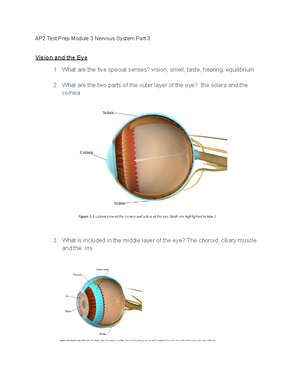 Module 4 Exam - Cardiovascular System Concepts and Questions - Module 4 ...
