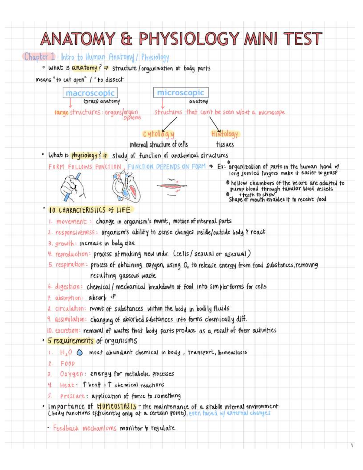 Human Anatomy & Physiology MINI TEST: Chapter 1 Overview - Studocu