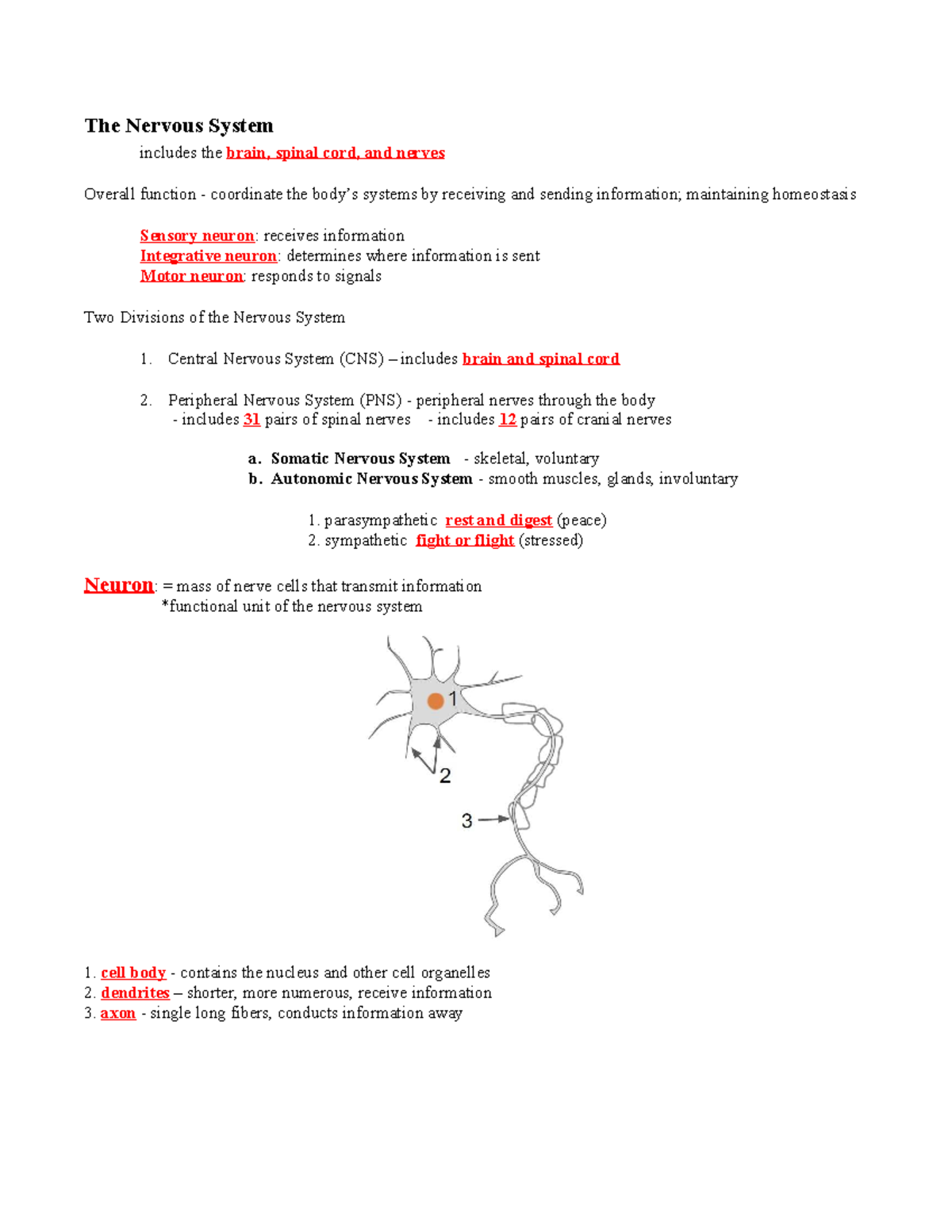 Unit 9 Nervous System Worksheet: Key Concepts and Functions - Studocu