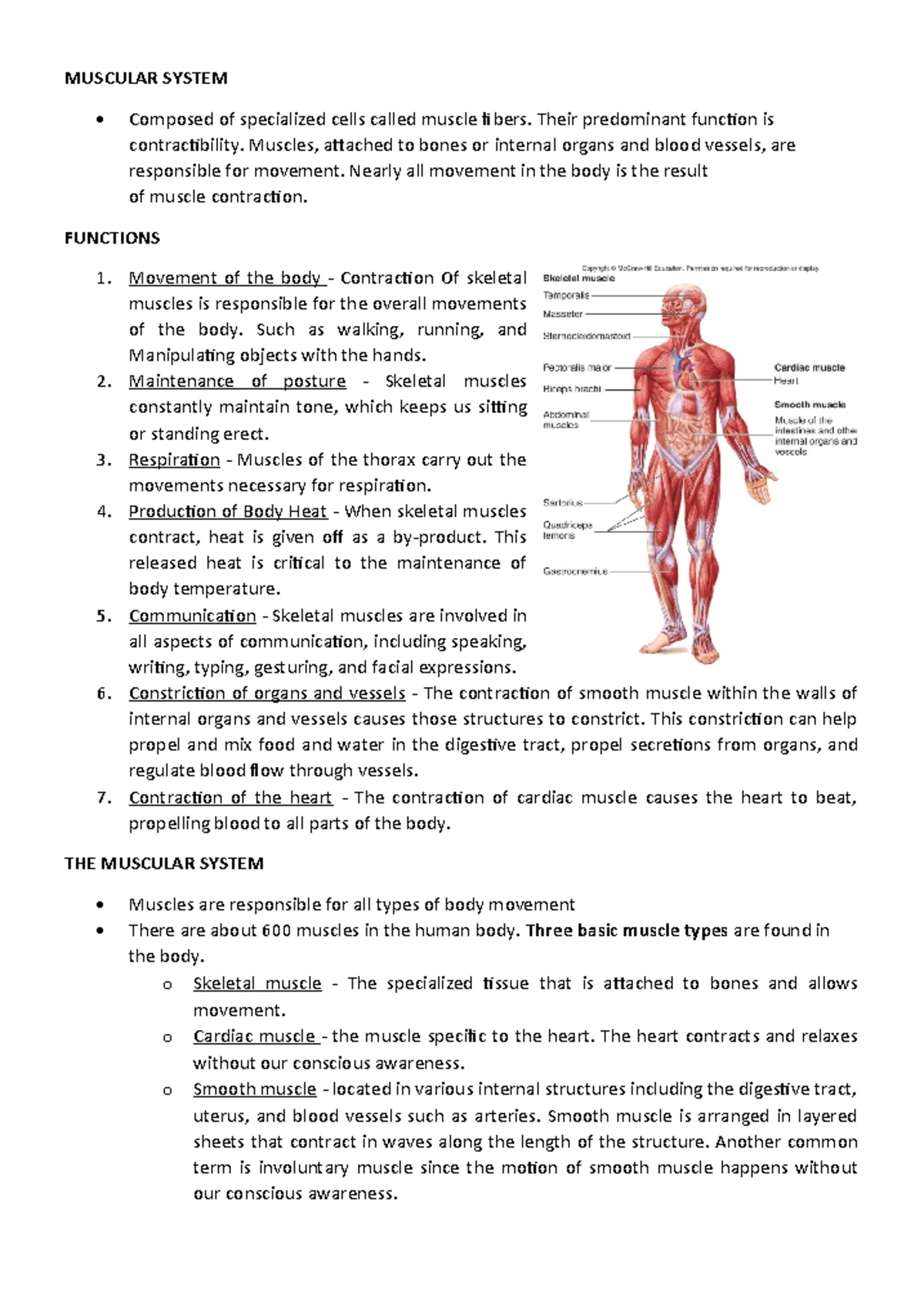 Thorax & Lungs Assessment Notes: Key Findings & Techniques - Studocu