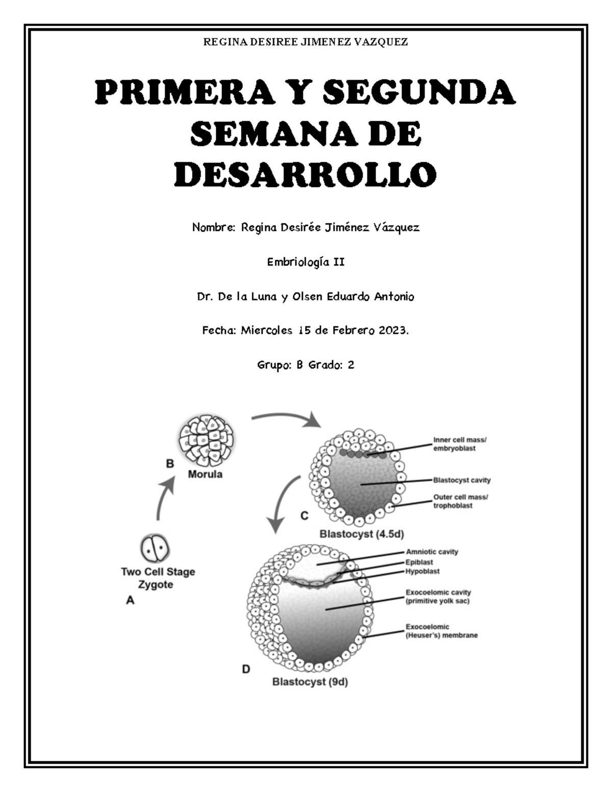 Embriología II: Desarrollo del Cigoto y Blastocisto (1RA Y 2DA Semana ...