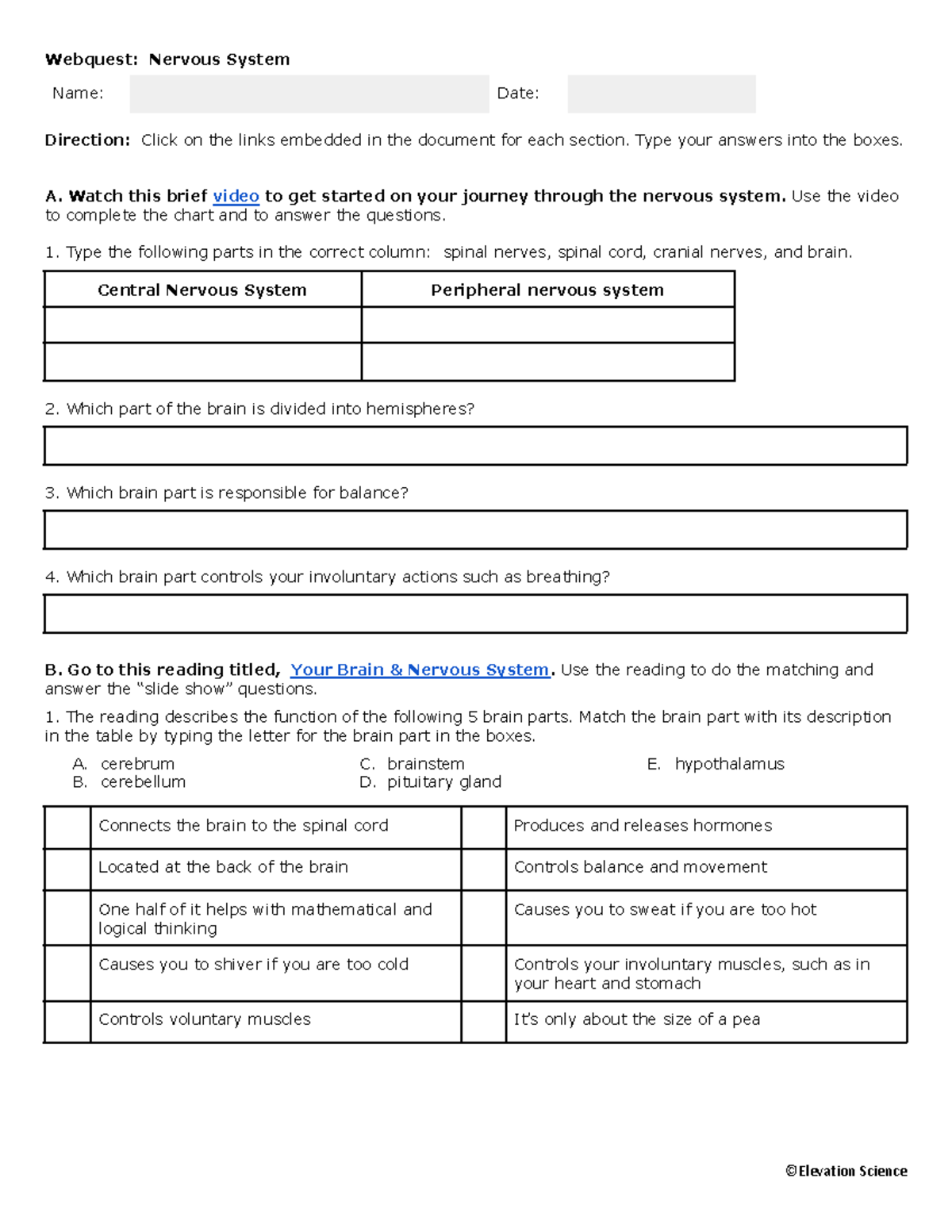 Nervous System Web Quest - Student Exploration Activity - Studocu