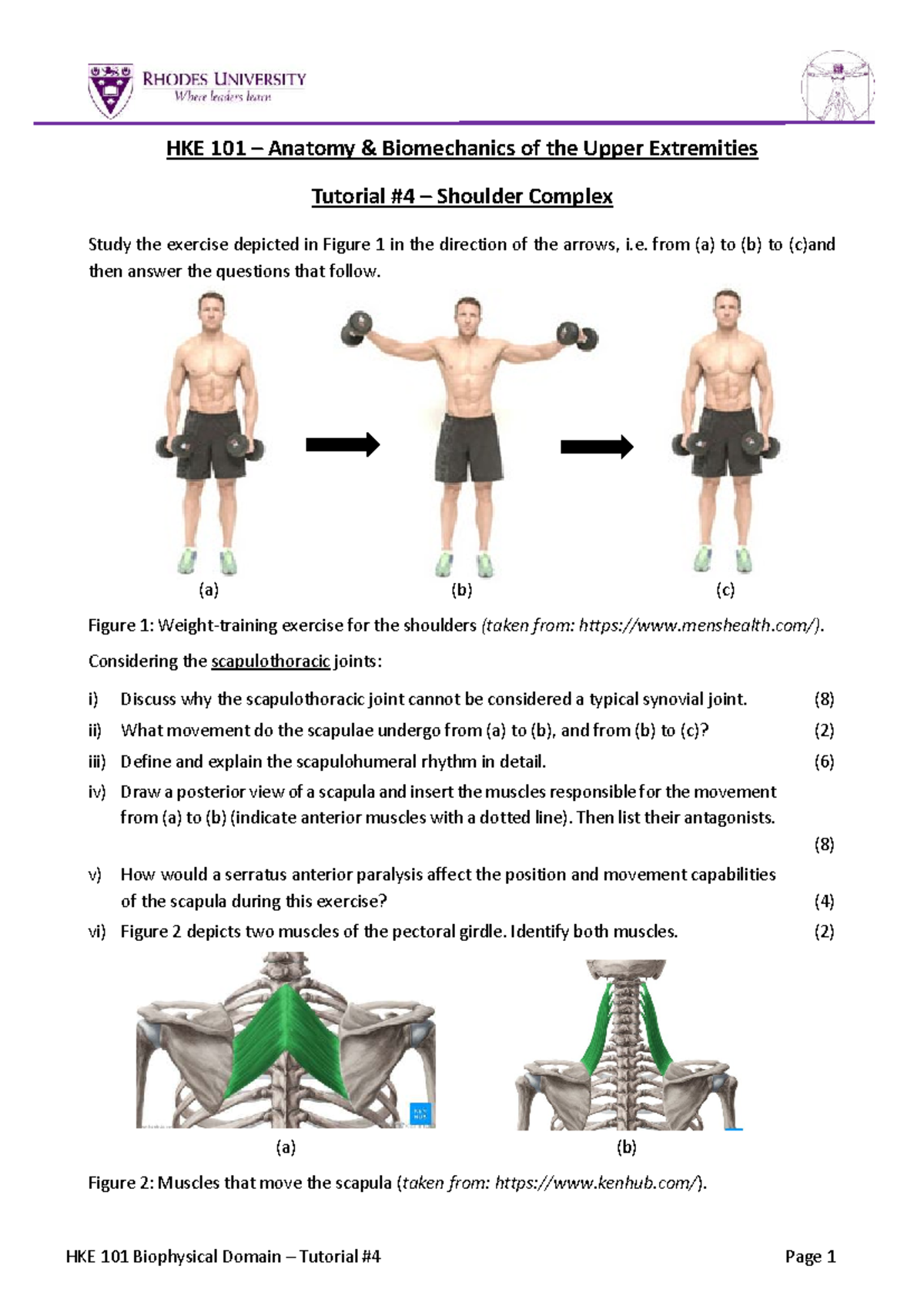 HKE 101 Tutorial 4: Biomechanics of the Shoulder Complex - Studocu
