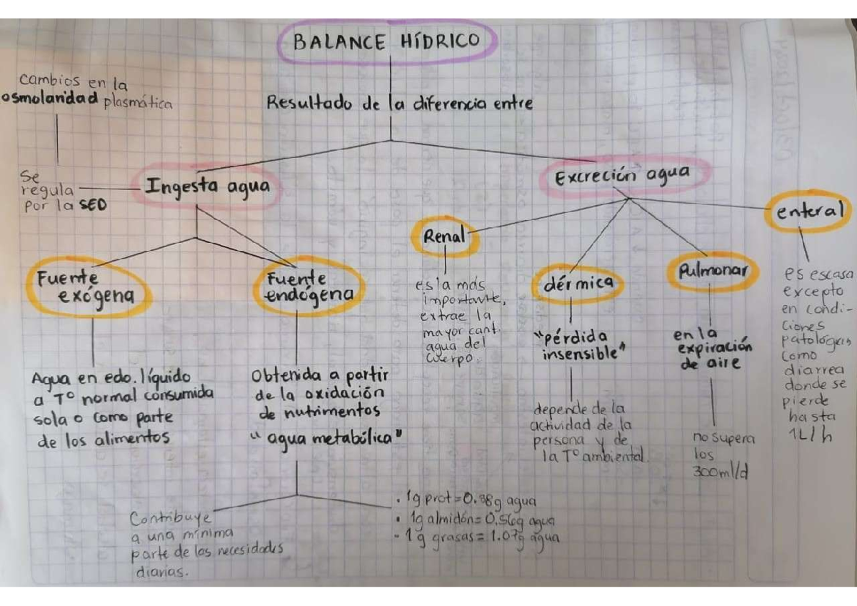 Balance Hídrico y Cambios en la Osmolaridad Plasmática - Studocu