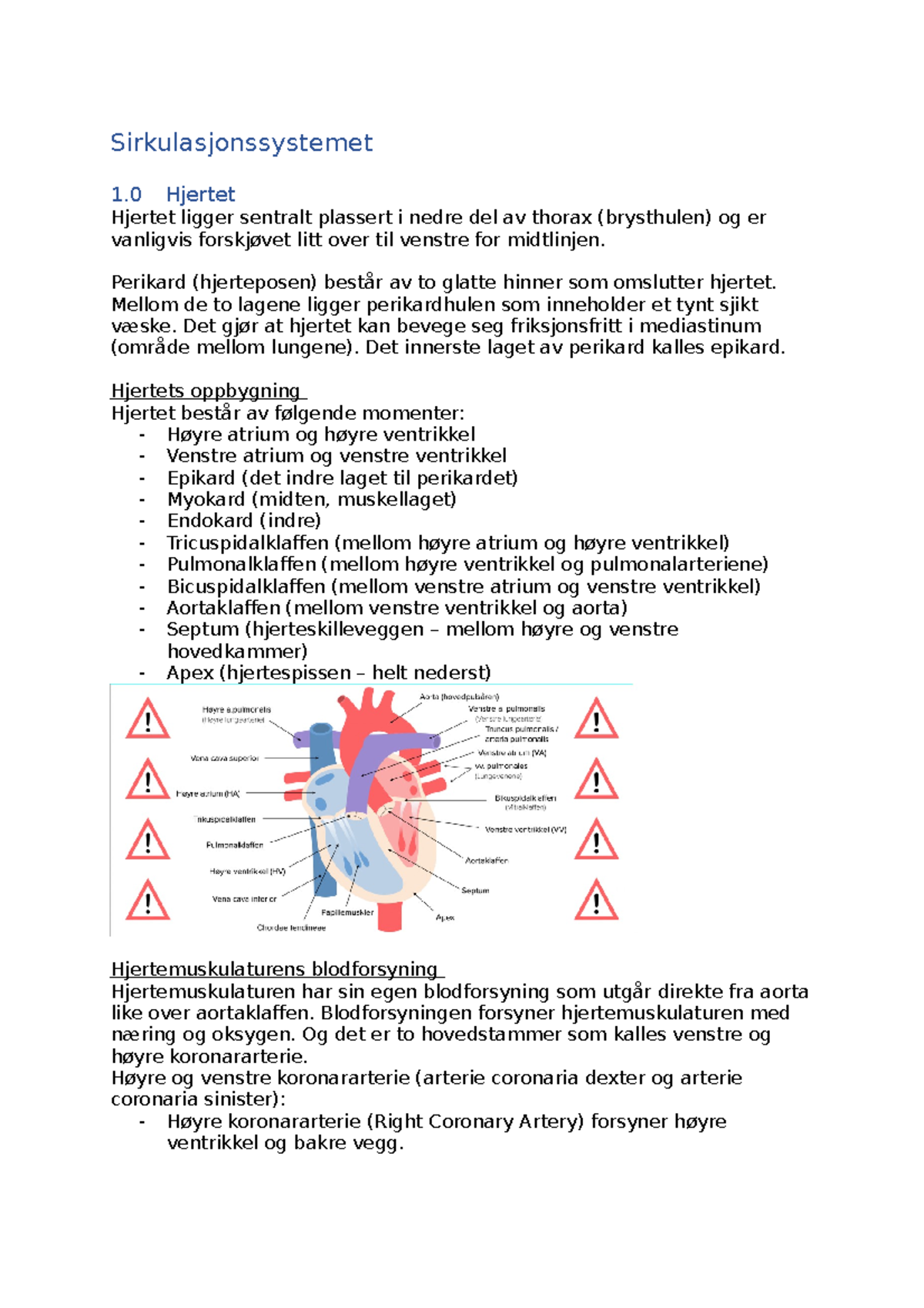 Sirkulasjonssystemet - Perikard (hjerteposen) består av to glatte hinner som omslutter hjertet ...