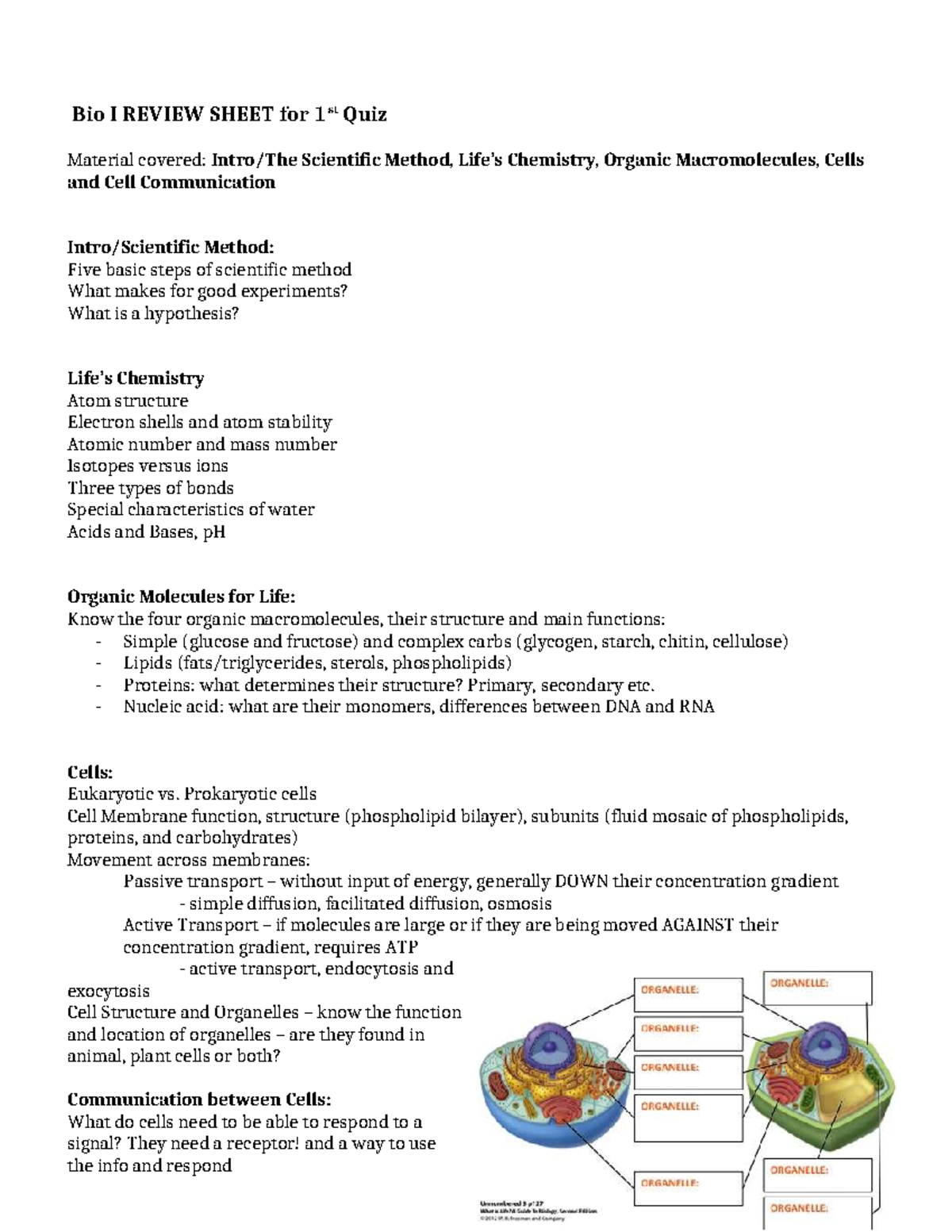 Biology 101: Review Sheet for 1st Quiz on Core Concepts - Studocu