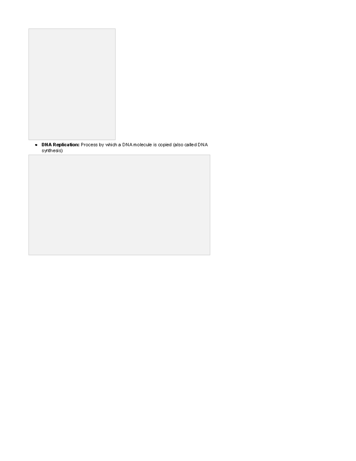 Chapter 16 Detailed Insights On Dna Replication Mechanisms Studocu