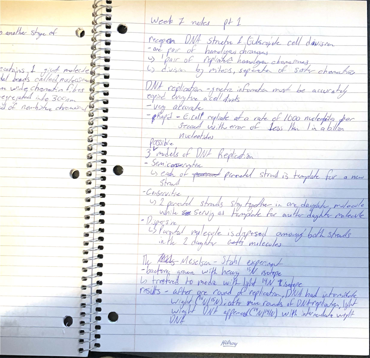 MBG 7: DNA Replication & Eukaryotic Cell Division Notes - Studocu