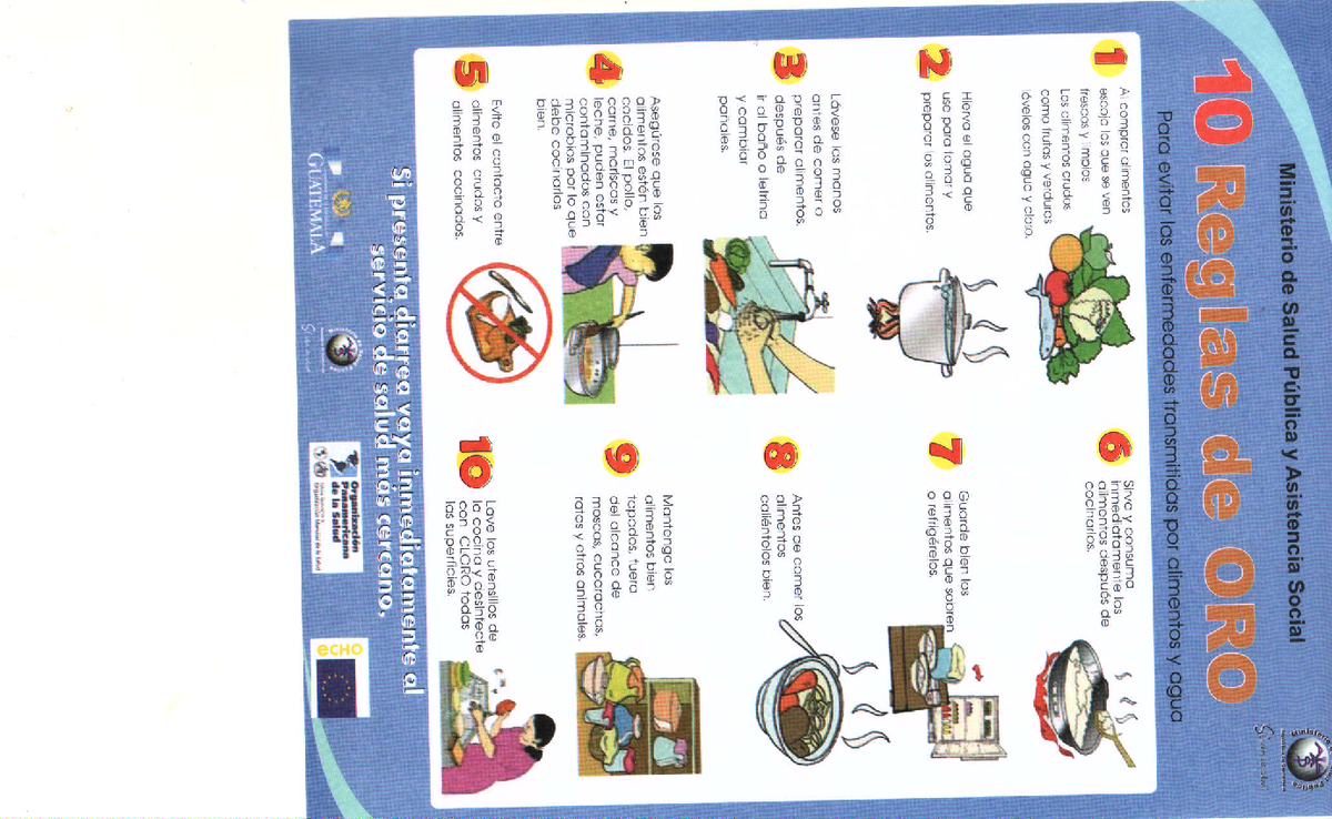 Guía de 10 Reglas de Oro para Evitar Enfermedades Alimentarias - Studocu