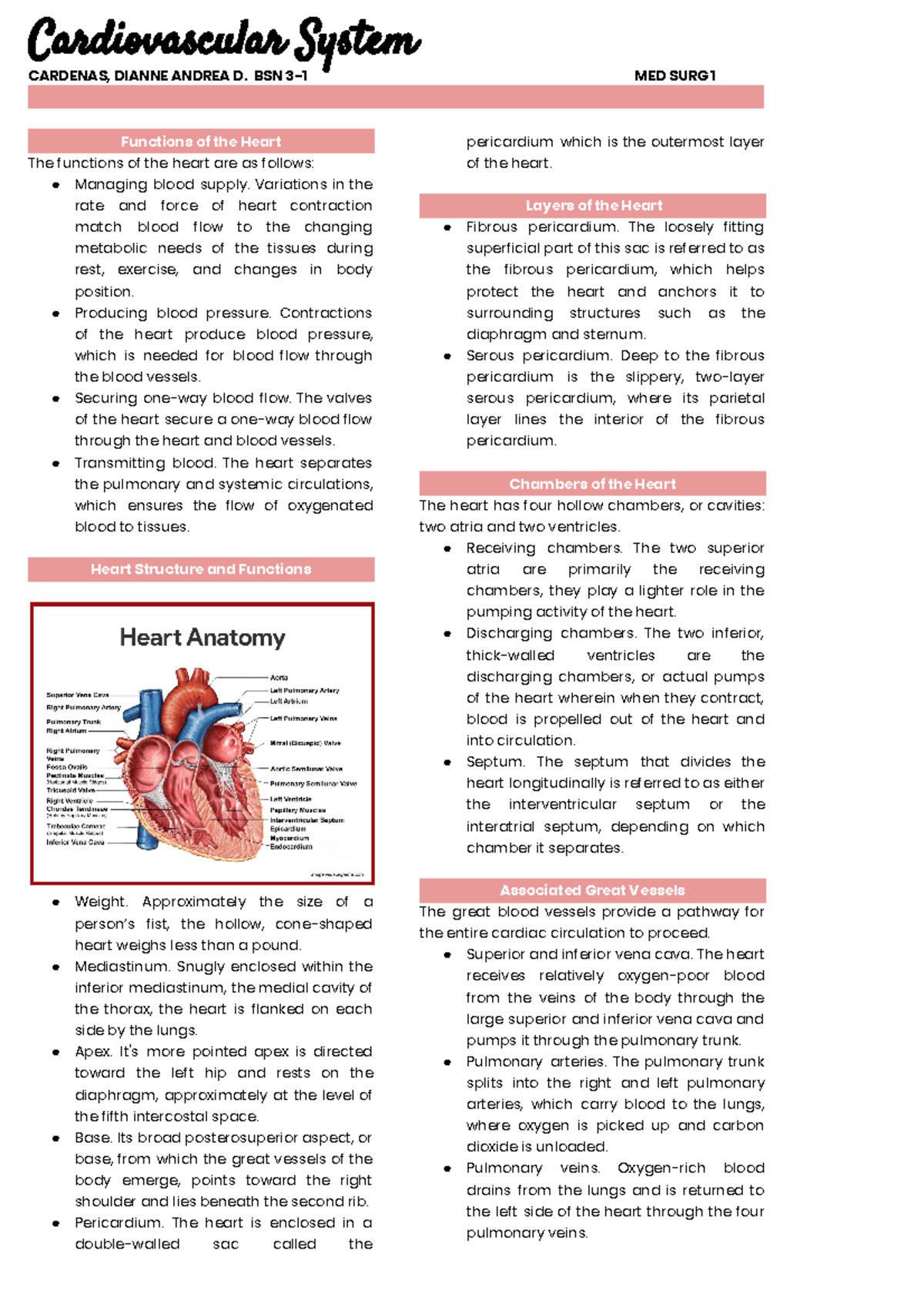 MEDSURG 1 - Cardiovascular System Comprehensive Study Guide - Studocu