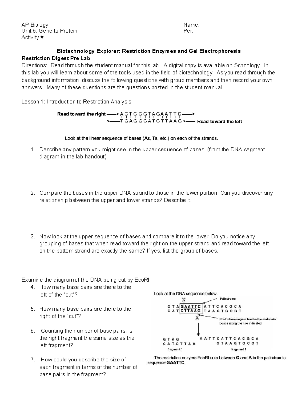 AP Bio: Unit 5 Pre-Lab on Restriction Enzymes & Gel Electrophoresis ...