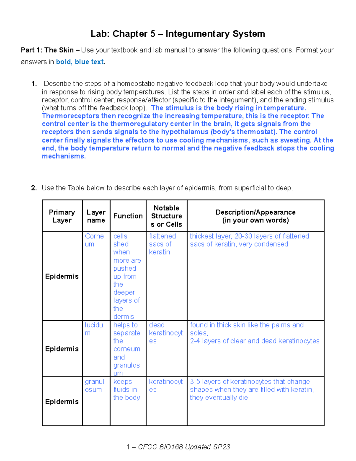 Lab 4 - Integumentary System FA24 - Lab: Chapter 5 – Integumentary ...