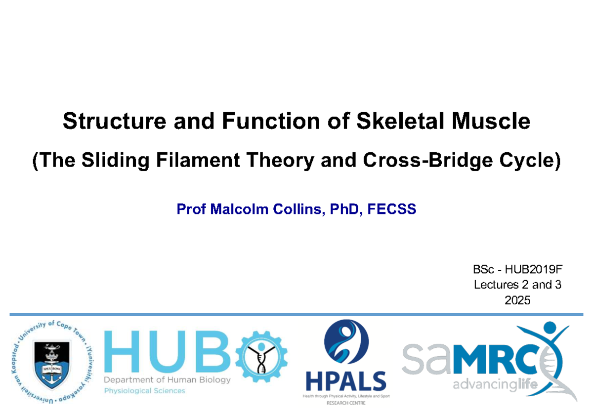 Skeletal Muscle HUB2019F: Sliding Filament Theory & Cross-Bridge Cycle ...