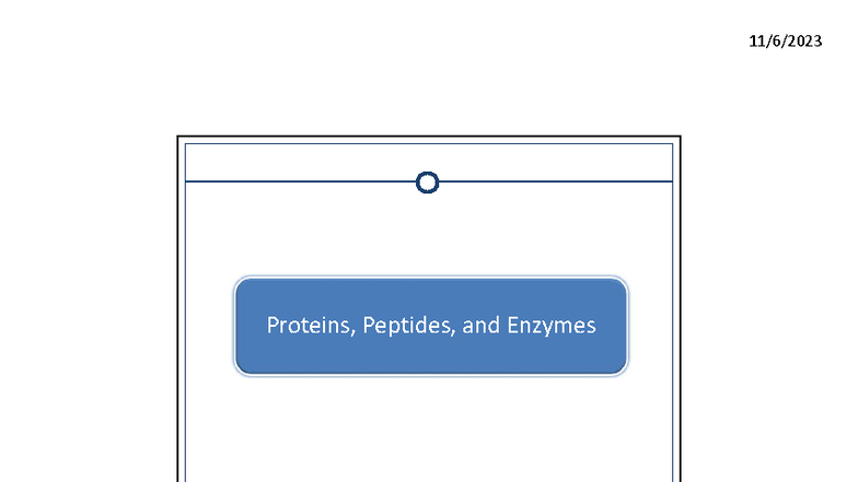 Proteins, Amino Acids, and Enzymes: Structure & Function Overview - Studocu