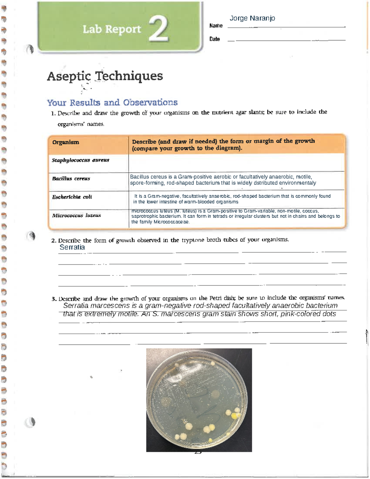 MICR Lab Wk 2,3 (1) - micrbiology lab report - MICRO 290 - Studocu