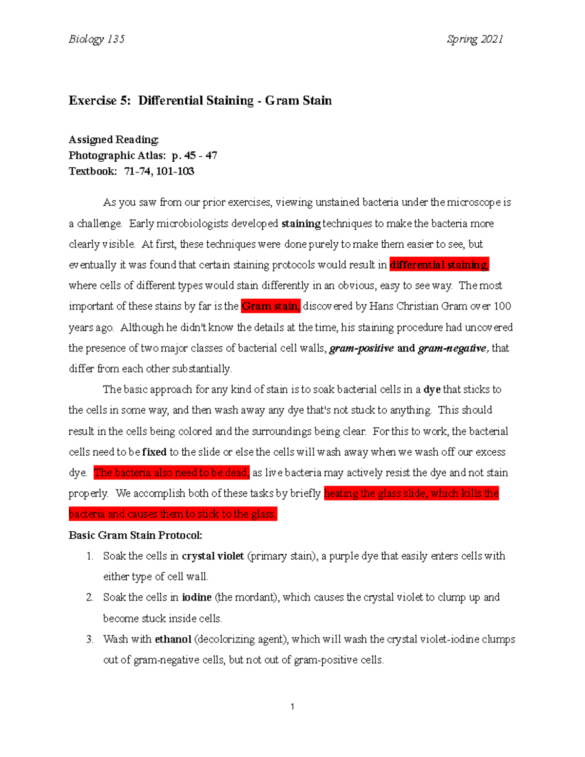 Microbiology Lab Exercises 5-7: Staining Techniques & Assignments - Studocu