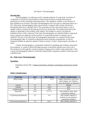Expt 4 Lab Report Bolger - Experiment Four: Making Polymers Objective: We will explore various ...