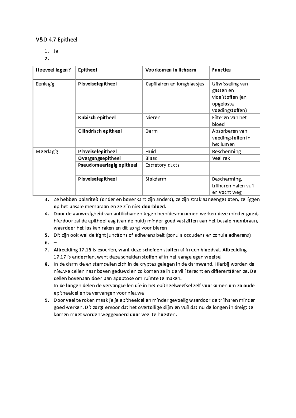 WG 4.7 V&O Epitheel: Structuur, Functies & Herstelmechanismen - Studeersnel