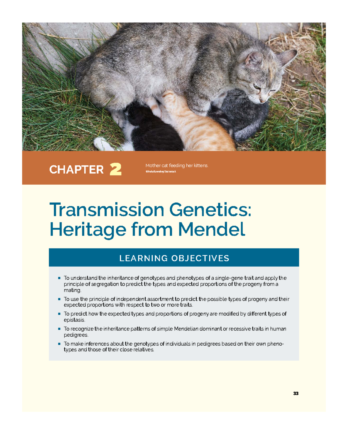 13 Chapter 2 Transmission Genetics Heritage from Mendel - 33 Mother cat ...