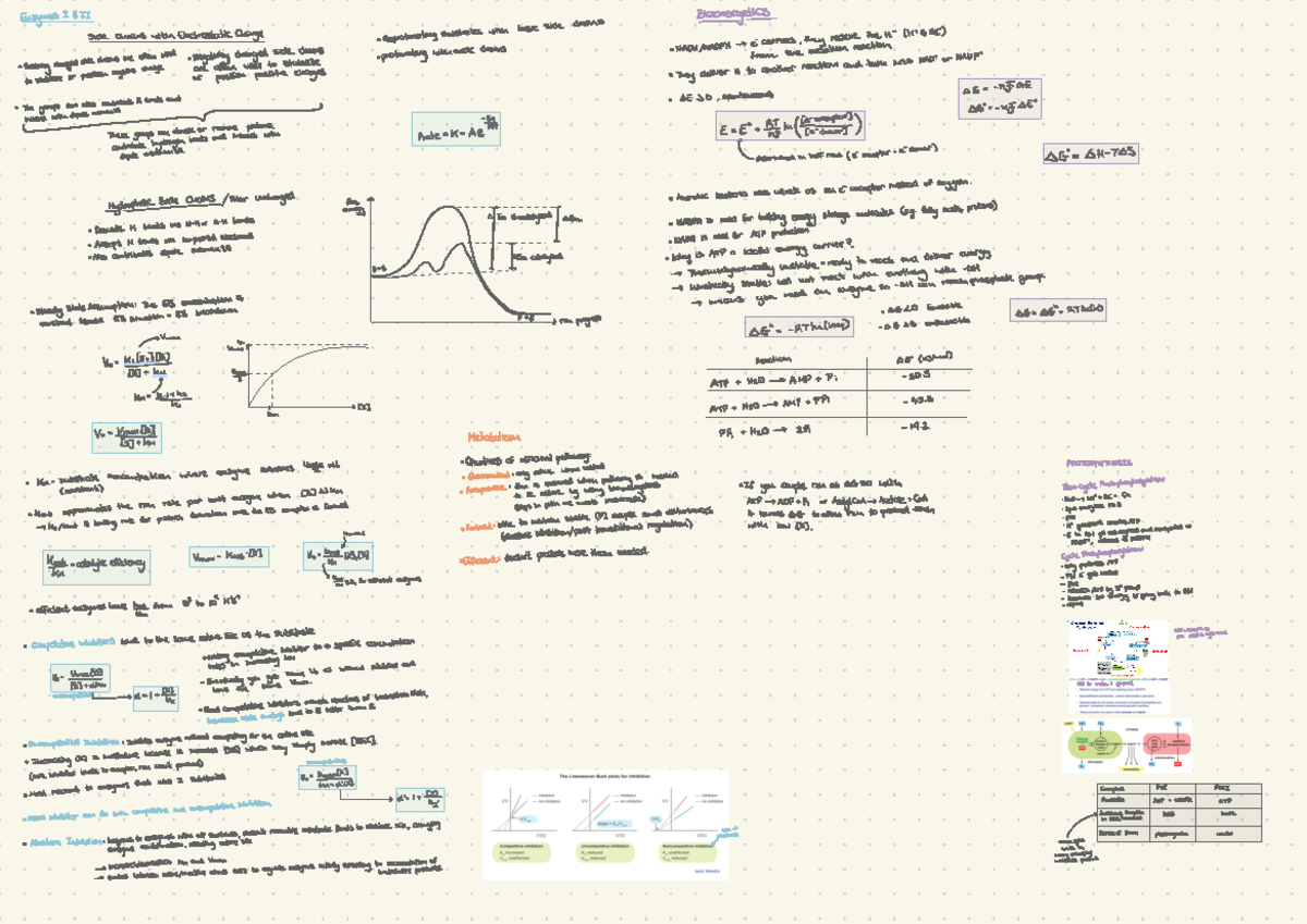 Biochemistry Cheat Sheet: Enzymes I & II - Bioenergetics Notes ...