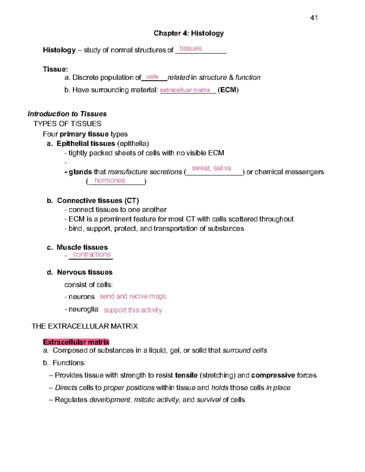 Histology and Integumentary System Overview: Chapter 4 & 5 Notes - Studocu