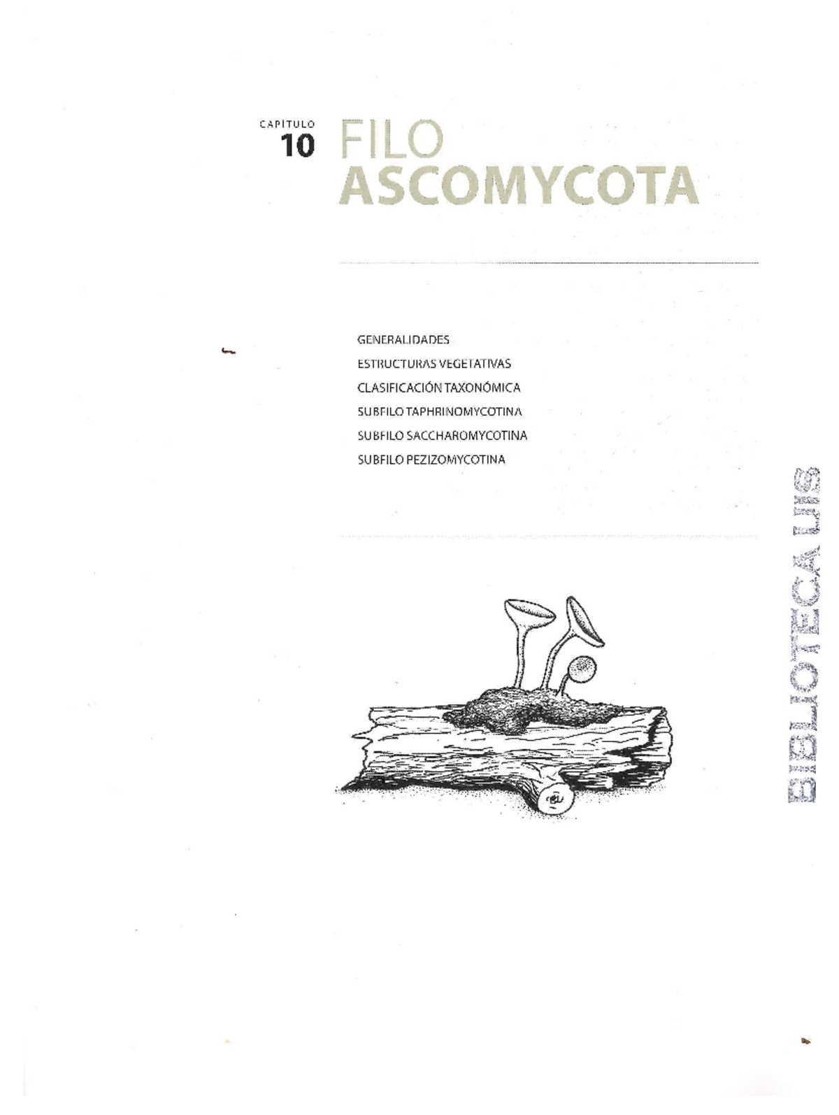 Capítulo 10: Filo Ascomycota - Generalidades y clasificación taxonómica ...