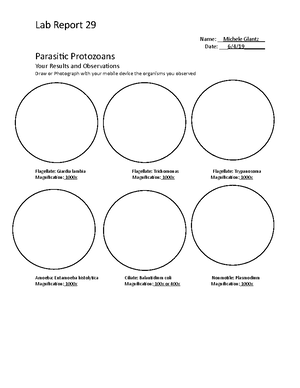 Lab Exercise 15 - Lab Report 14 Name: Michele Glantz Date: 5/21/19 ...