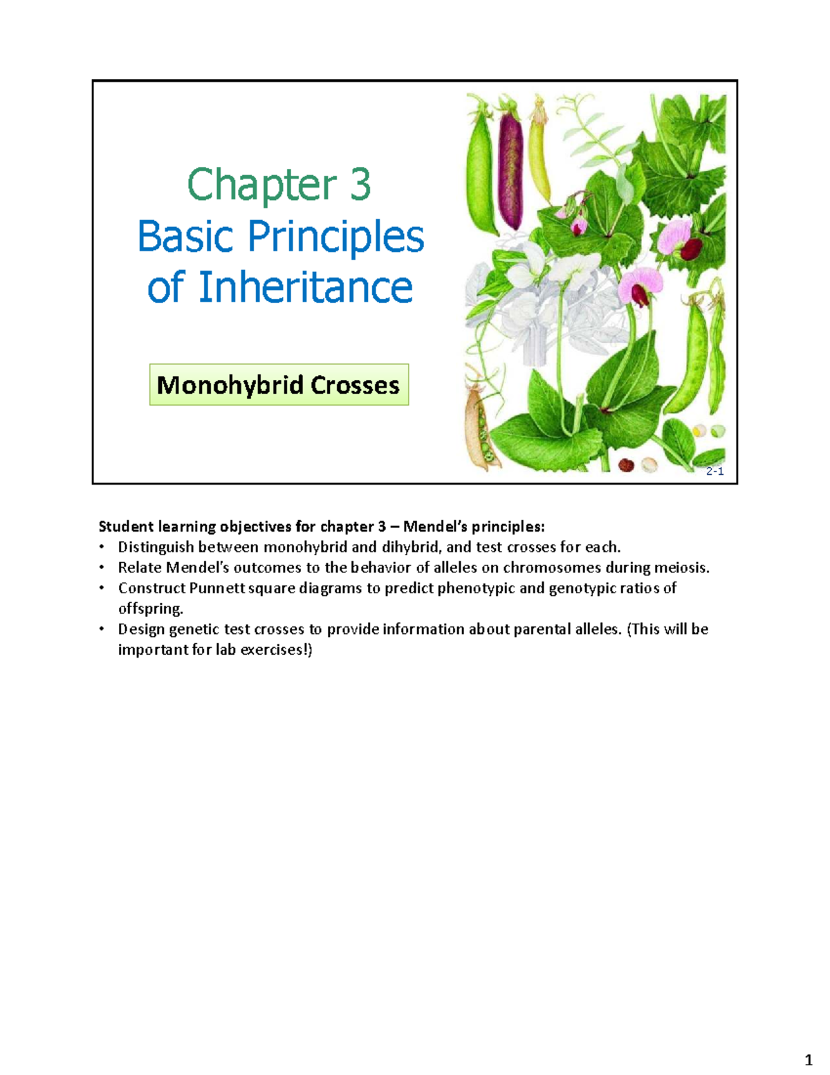 Chapter 3: Basic Principles of Inheritance - Monohybrid Crosses (BIO101 ...