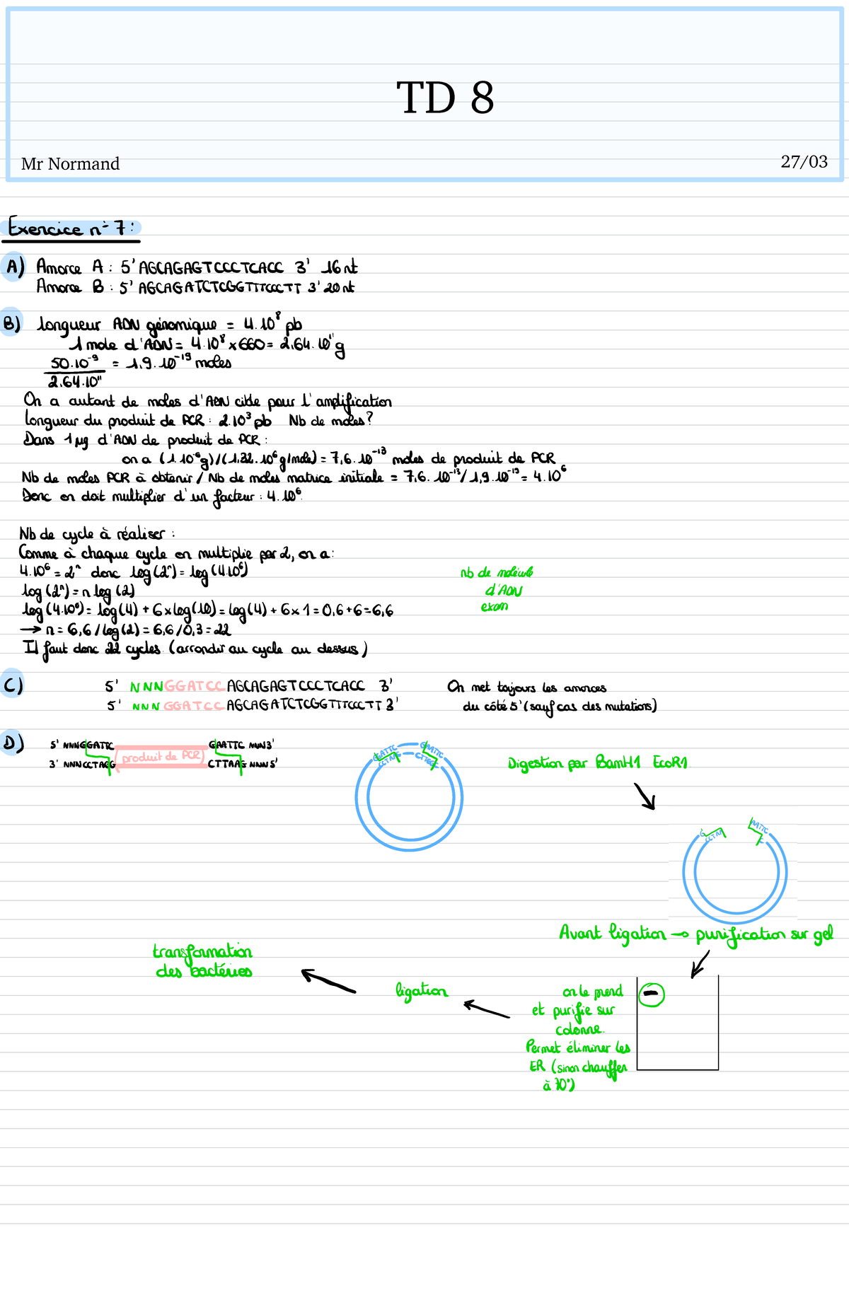 TD8 Corrections - Méthodes d'Analyse ADN et Amplification PCR - Studocu