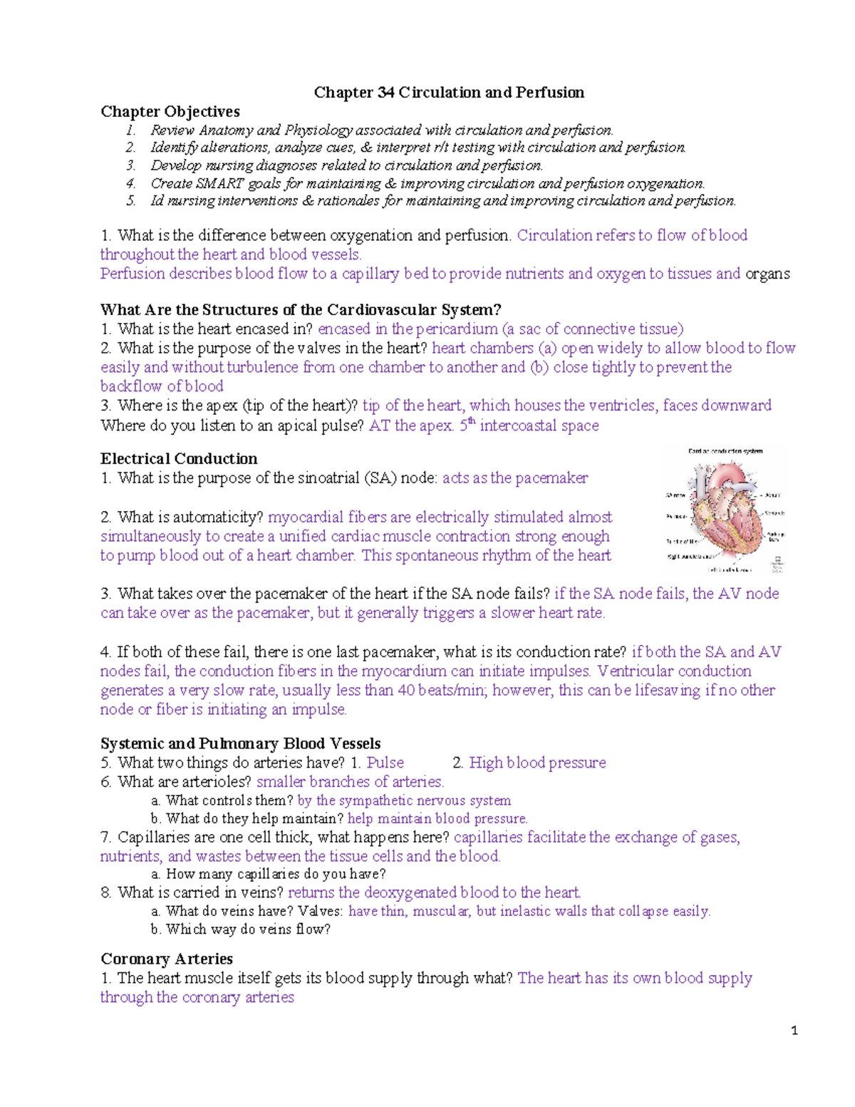 Nursing Focus: Student Study Guide for Circulation & Perfusion (Ch. 34 ...
