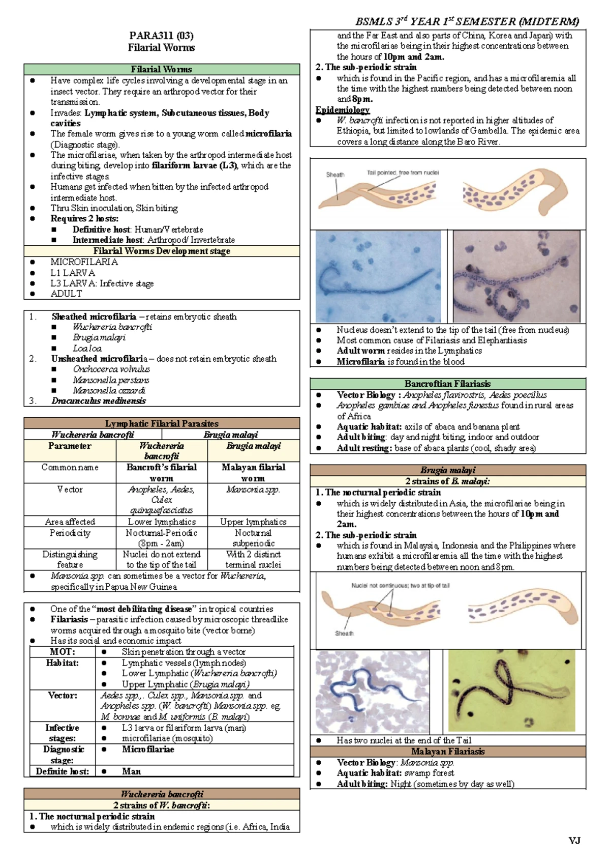 PARA311 (03) Overview of Filarial Worms and Their Life Cycle - Studocu