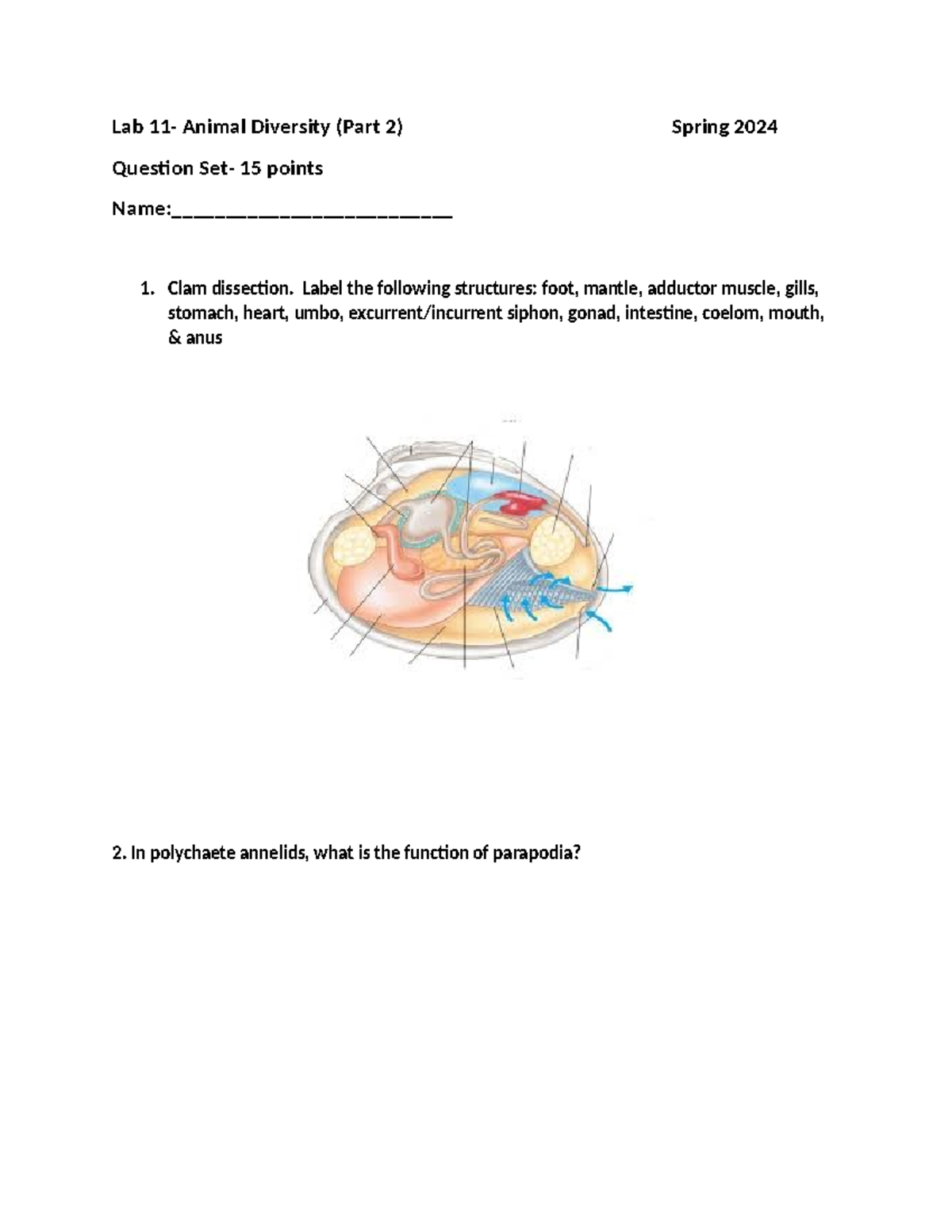 Lab 11: Animal Diversity Part 2 Question Set - Spring 2024 - Studocu